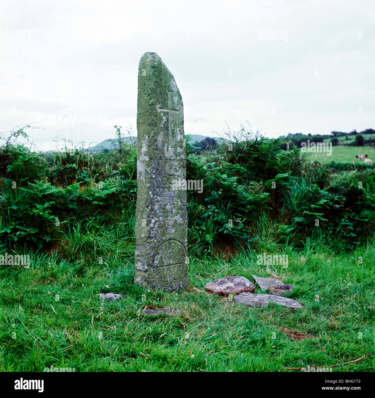 Kilnasaggart Cross Pillar, Armagh, Ireland, c714. Artist: Unknown Stock ...