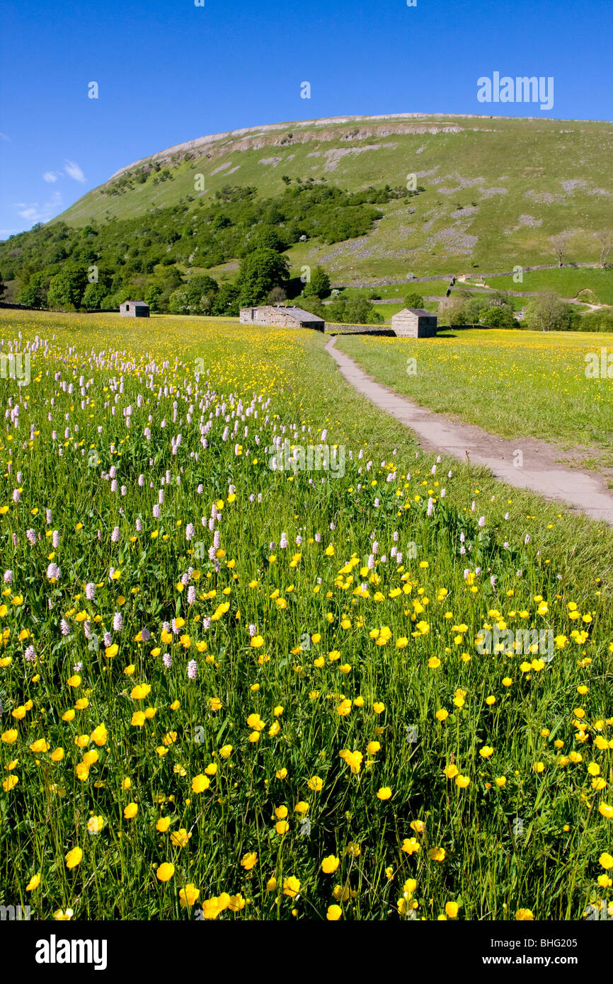 Pathway through the fields hi-res stock photography and images - Alamy