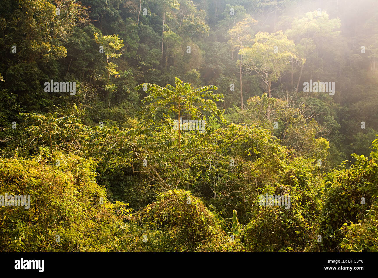 Culture in laos hi-res stock photography and images - Alamy