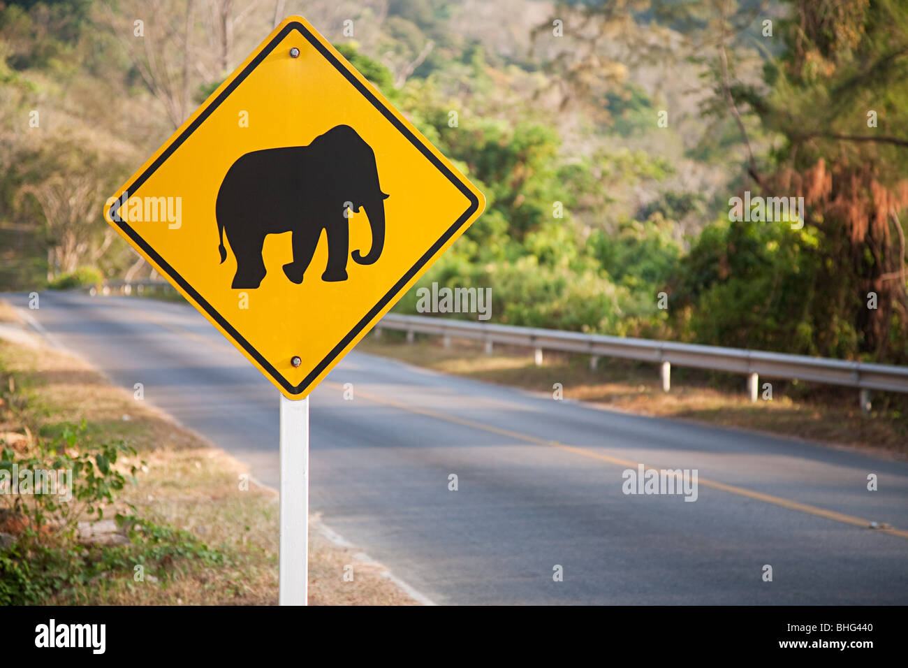 Elephant road sign hi-res stock photography and images - Alamy