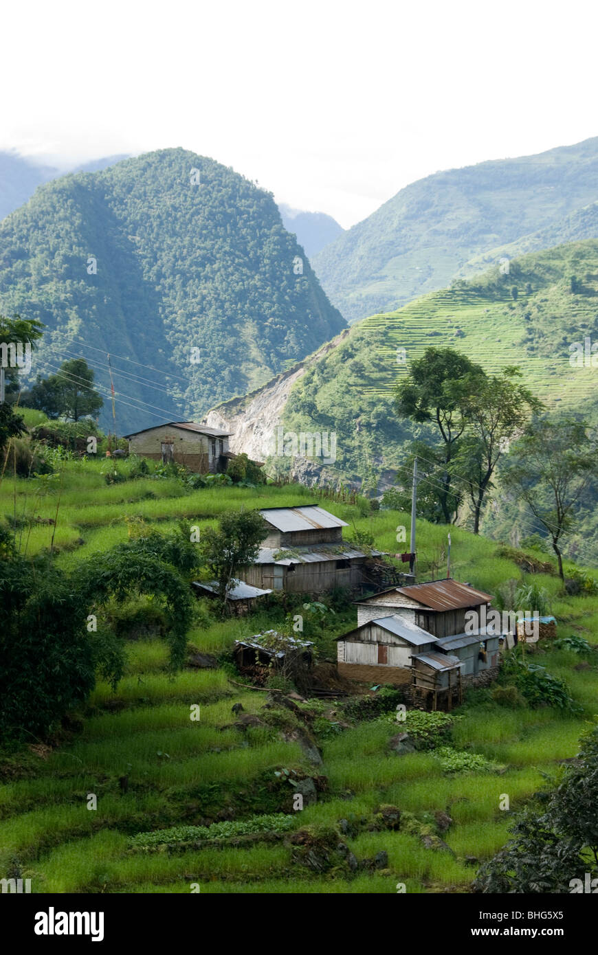Houses surrounded by rice terraces, Ghermu, Lamjung, Nepal Stock Photo ...
