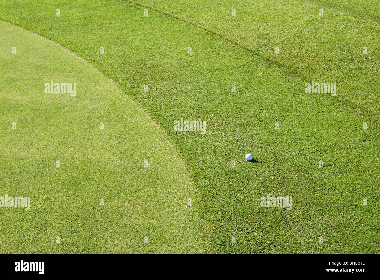 Golf ball on golf course Stock Photo - Alamy