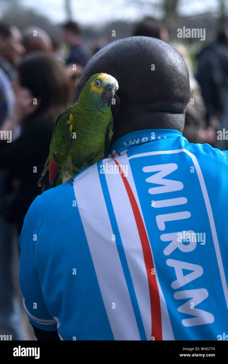 Green parrot and owner, Speaker's Corner, Hyde Park, London, UK Stock ...