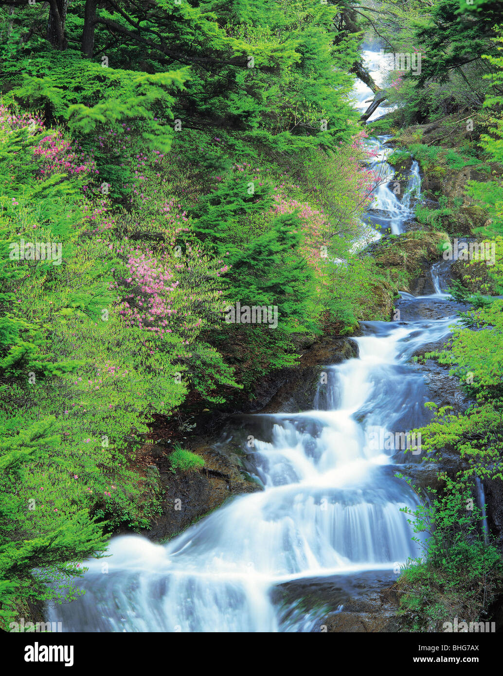 Ken tochigi hi-res stock photography and images - Alamy