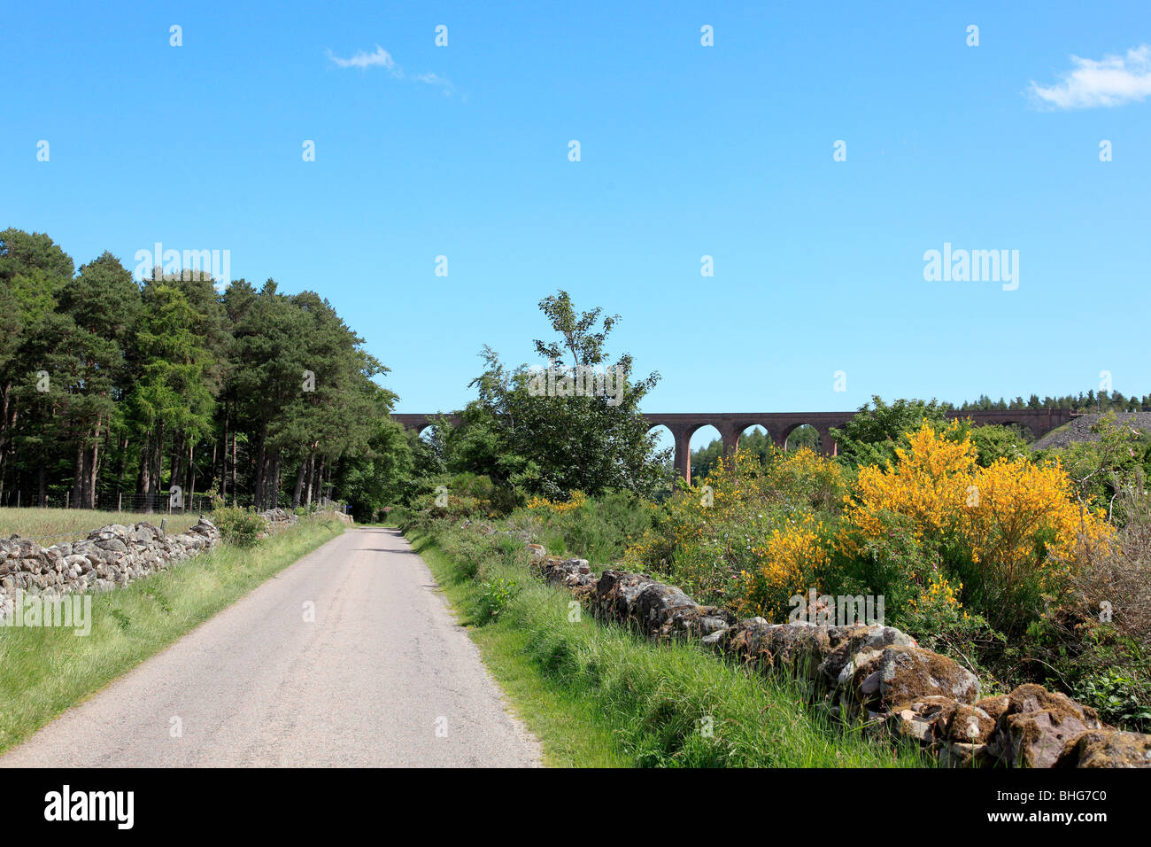 Culloden Viaduct High Resolution Stock Photography and Images - Alamy