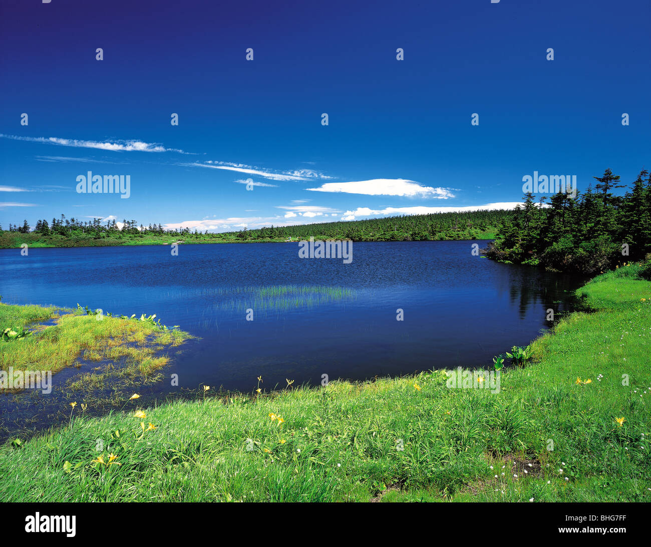 Hachiman Swamp Iwate Prefecture Japan Stock Photo - Alamy