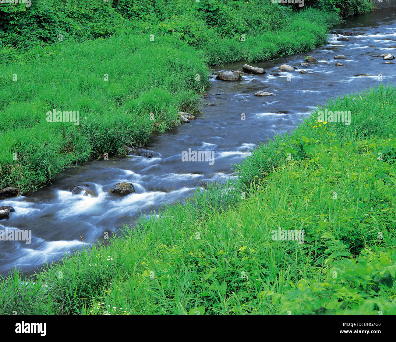 Ken tochigi hi-res stock photography and images - Alamy