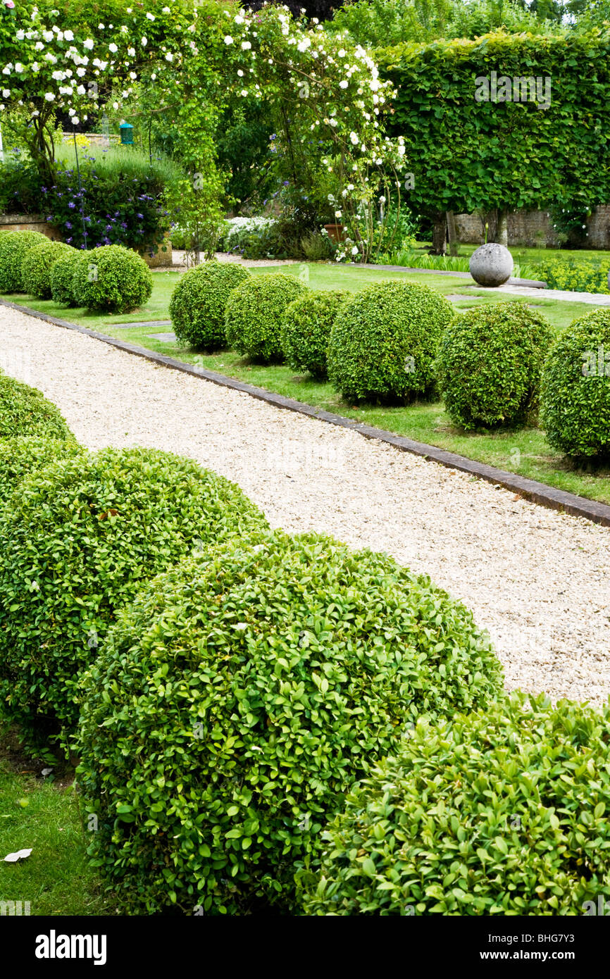 Topiary hedge lining a gravel path in the garden of an English country ...