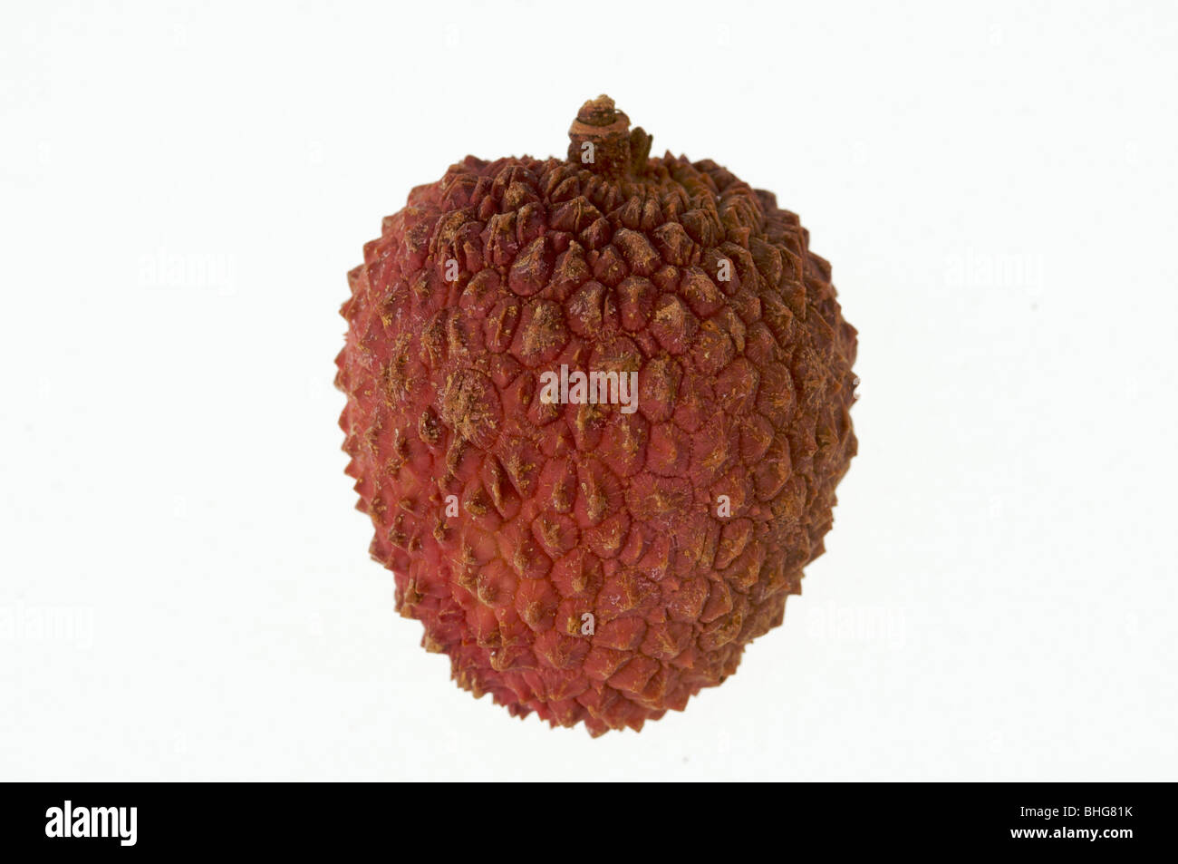 Lychees (Litchi chinensis). Litchi, Laichi or Lichu Stock Photo - Alamy