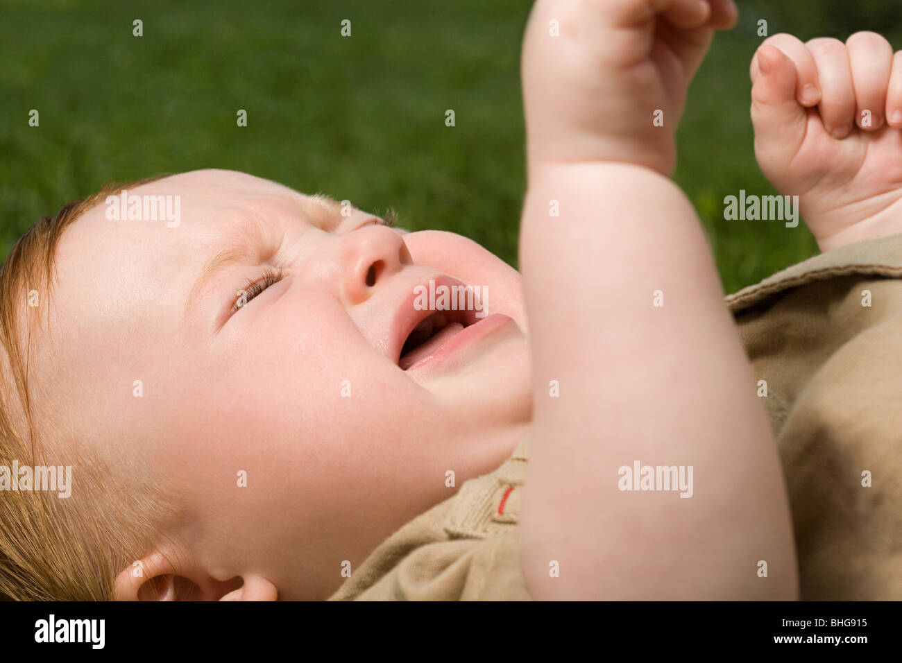 Ginger Baby Back High Resolution Stock Photography and Images - Alamy