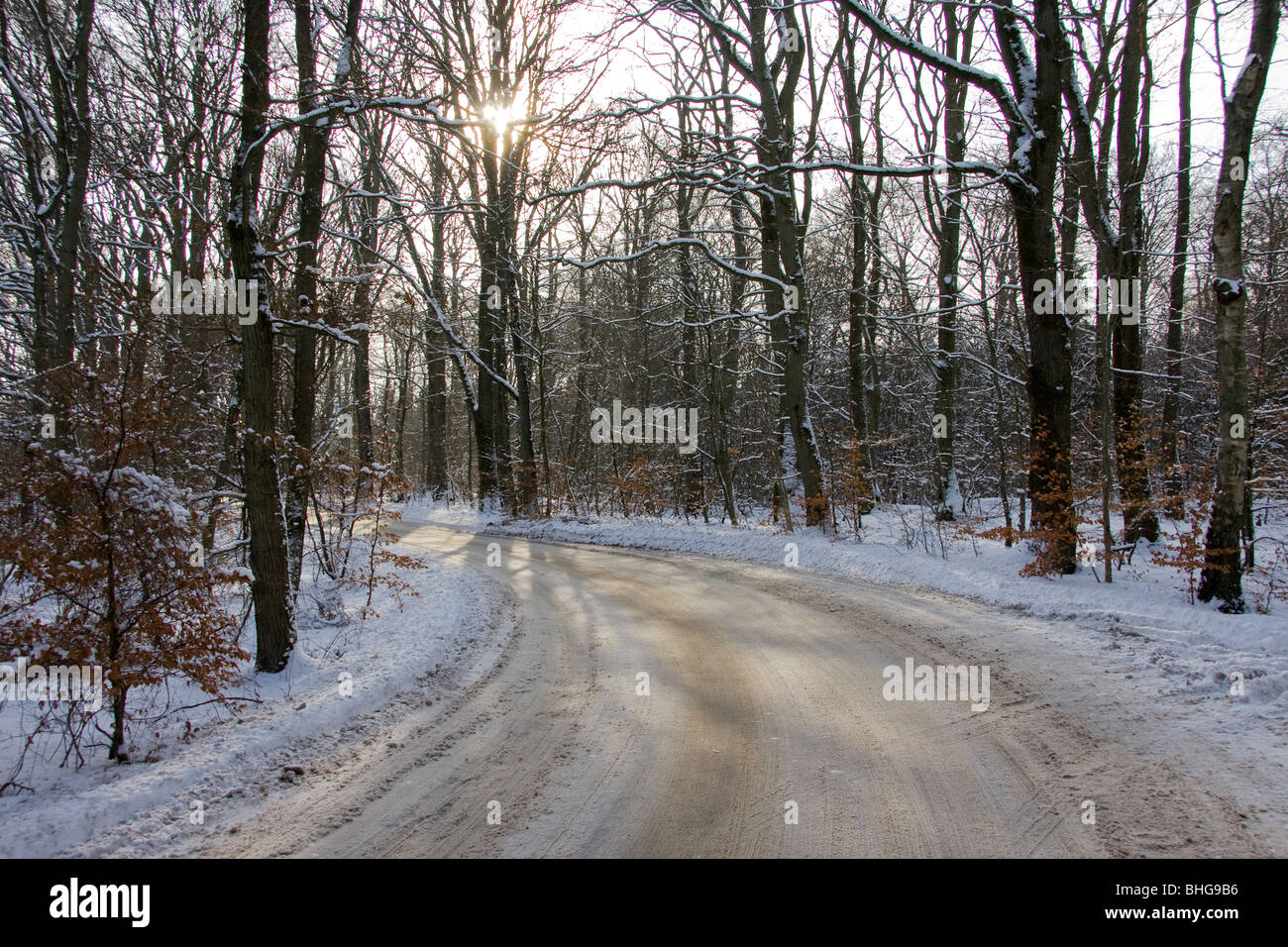 Through Forrest High Resolution Stock Photography and Images - Alamy