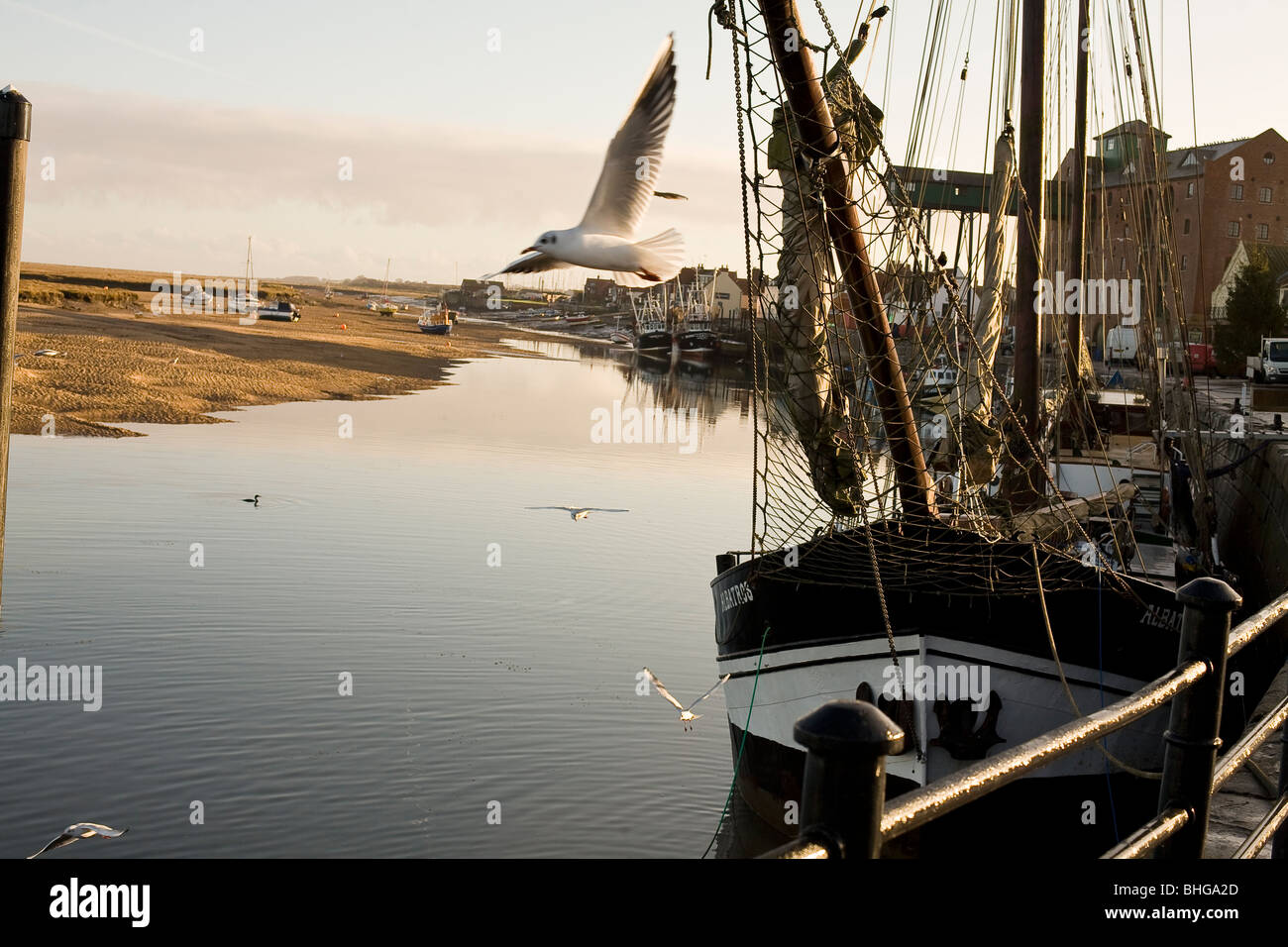 Dutch sailing barge hi-res stock photography and images - Alamy