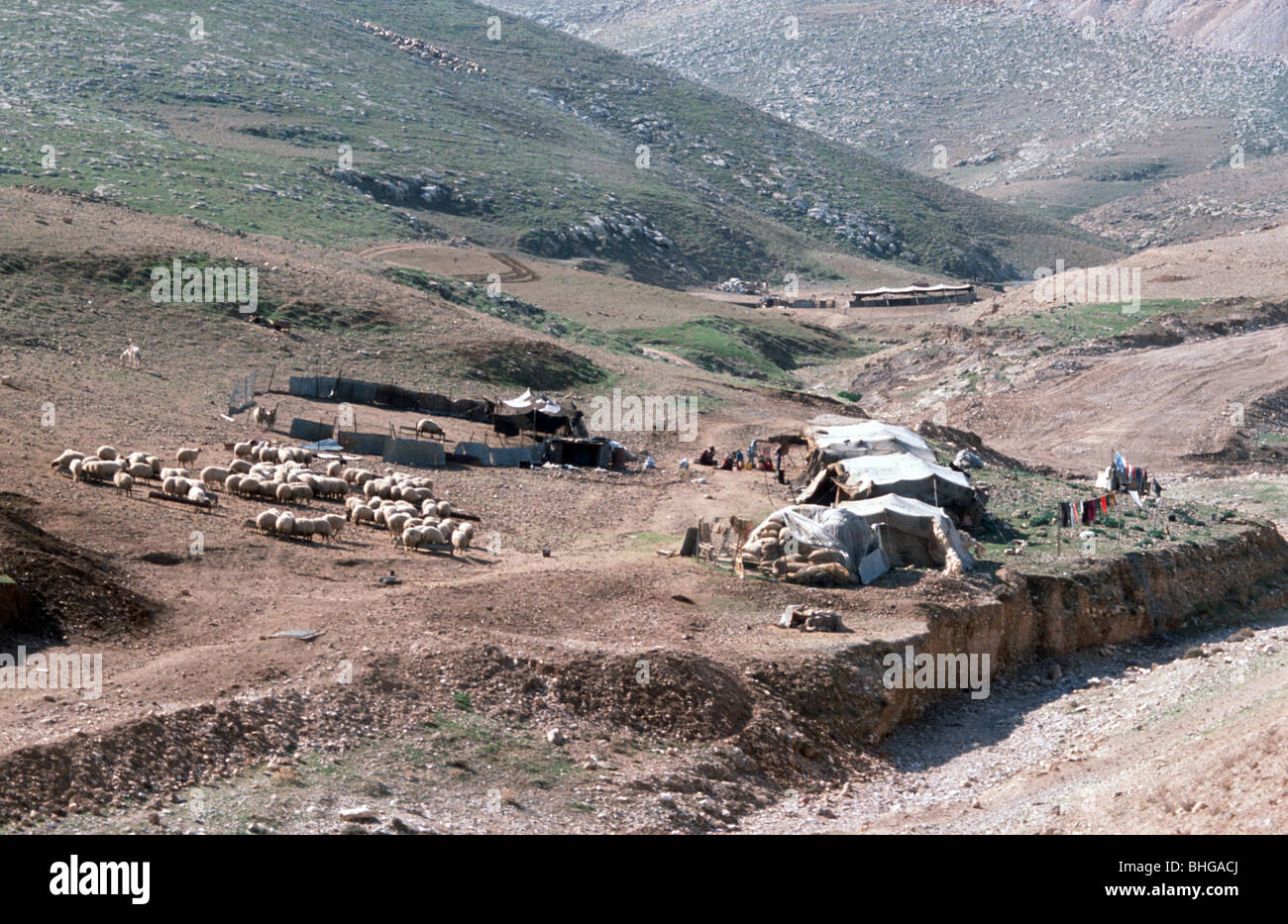Bedouin nomads israel hi-res stock photography and images - Alamy