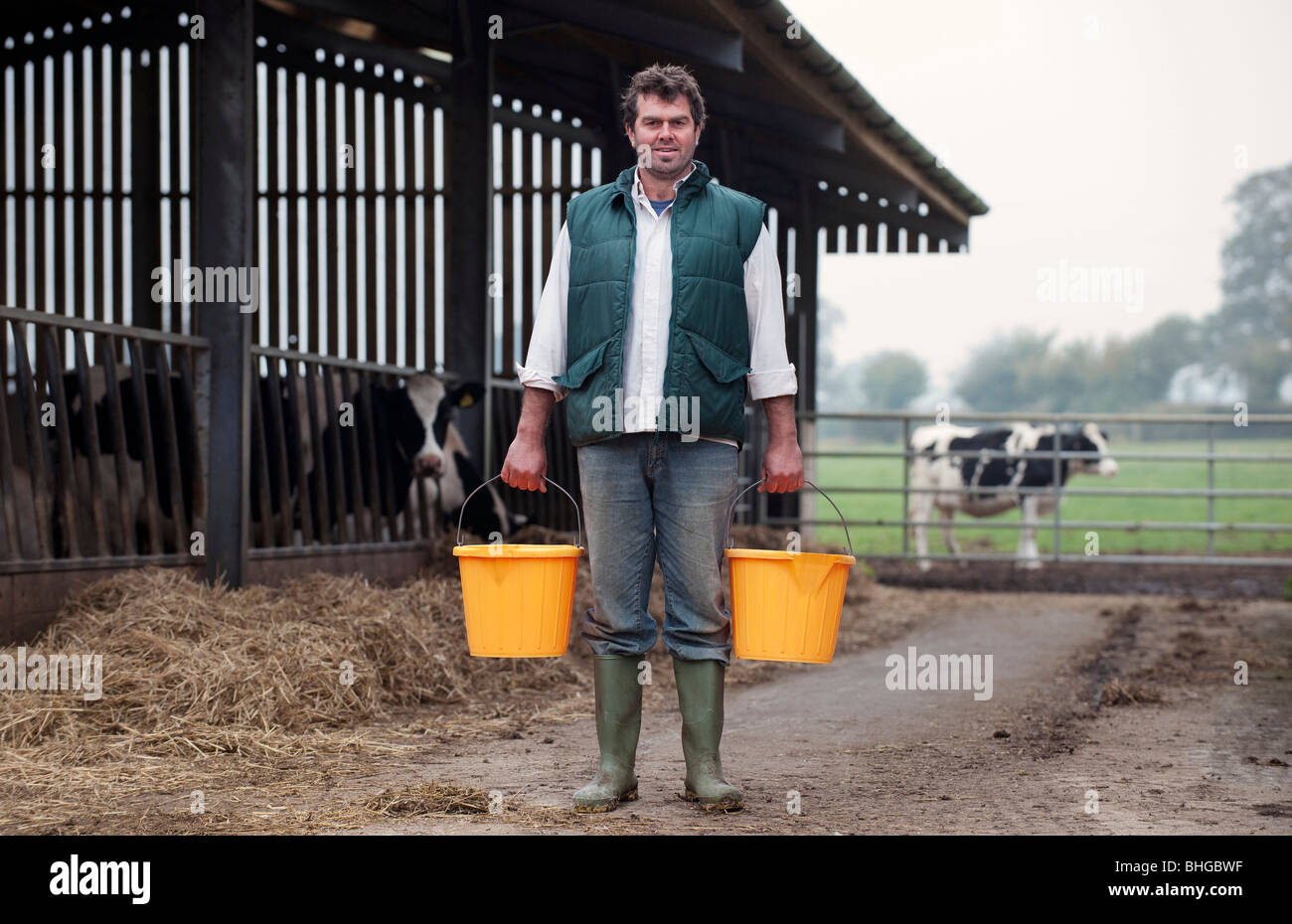 Farmer Cow Pail High Resolution Stock Photography and Images - Alamy