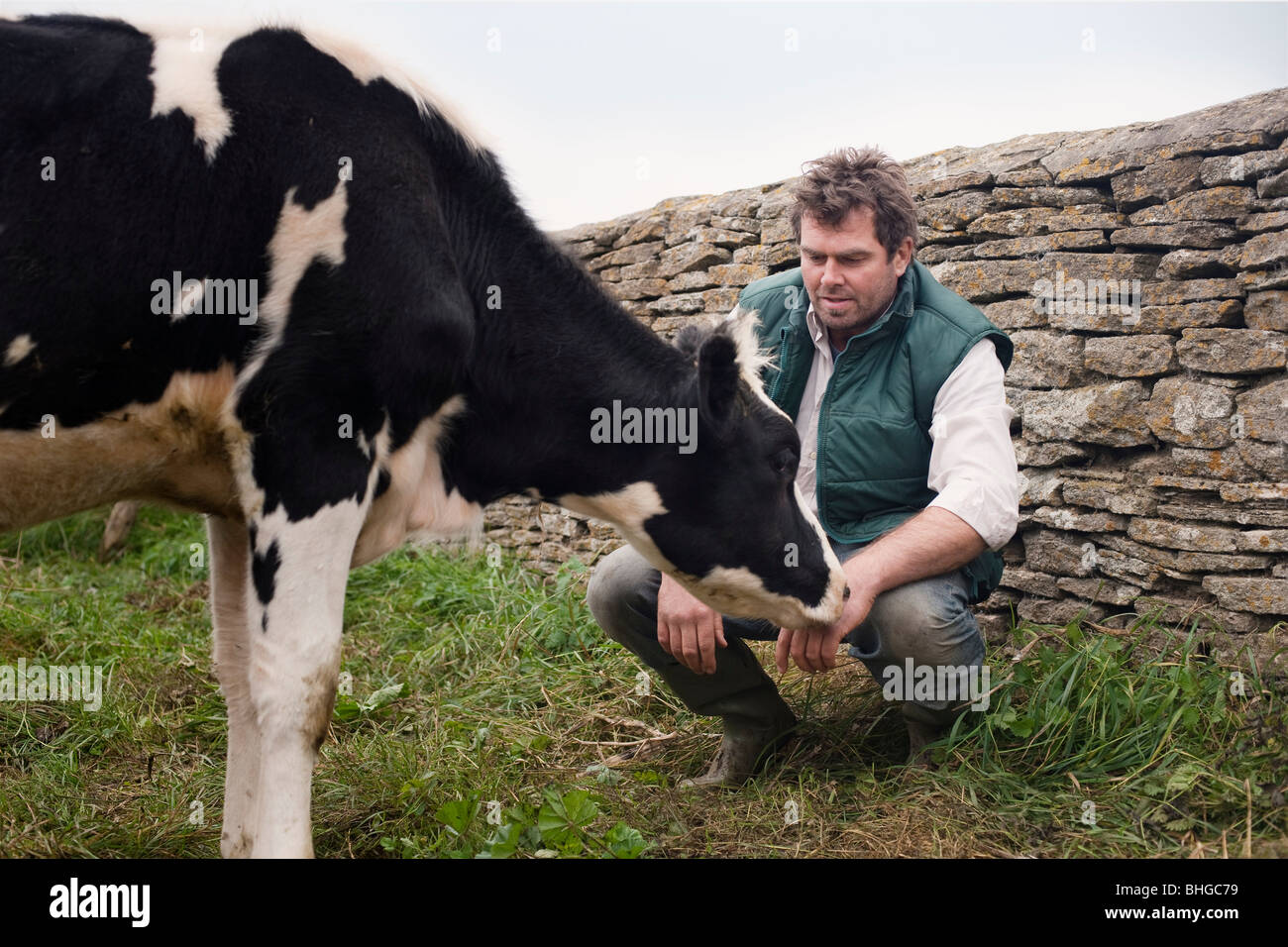 farmer with cow Stock Photo - Alamy