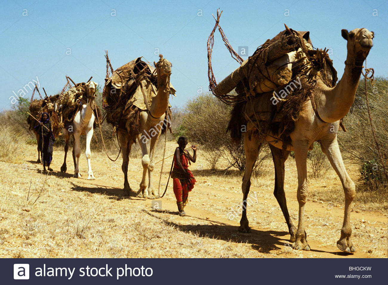 Possessions Stock Photos & Possessions Stock Images - Alamy