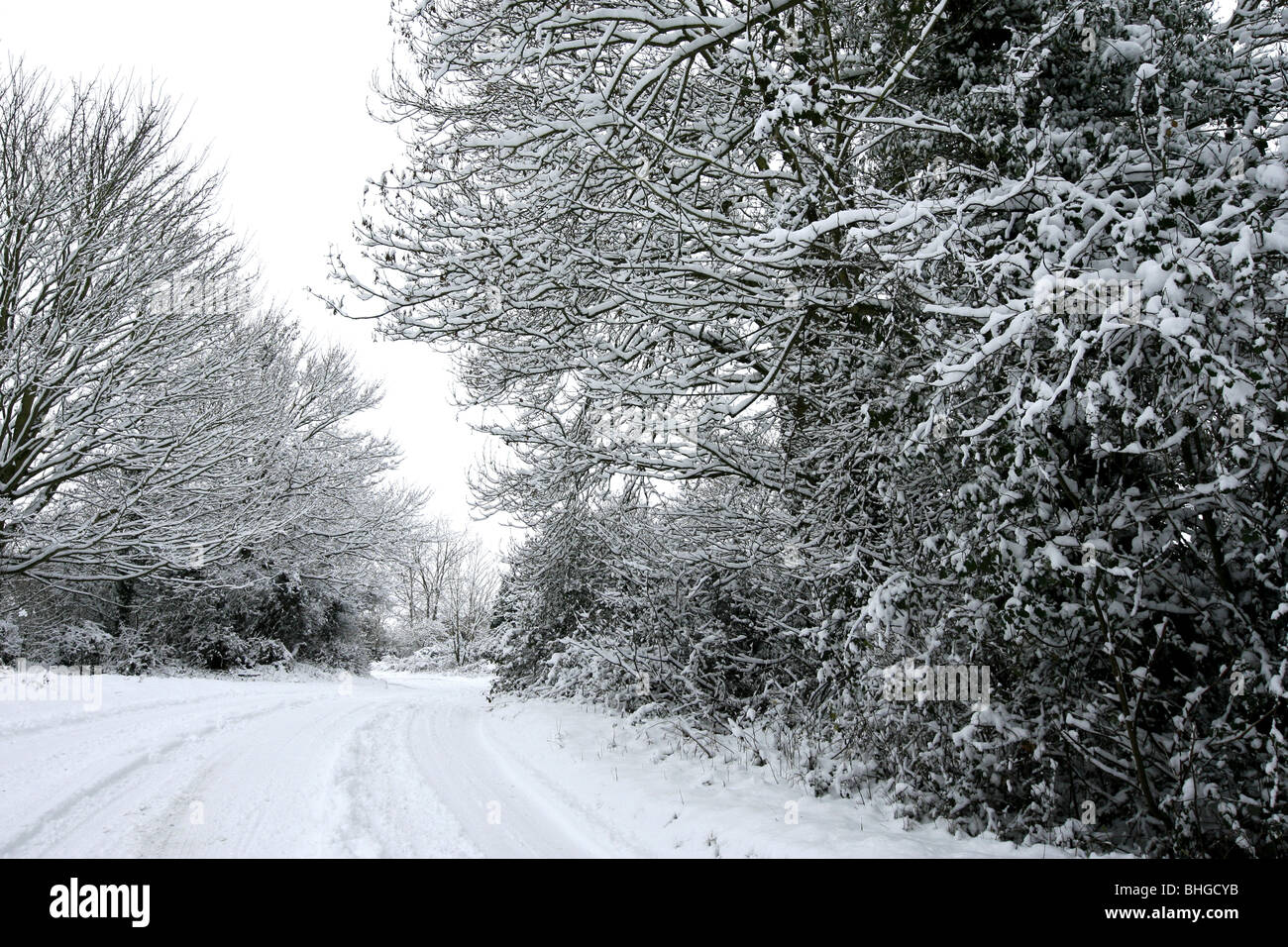 Country lane and hedgerow covered in snow Stock Photo - Alamy