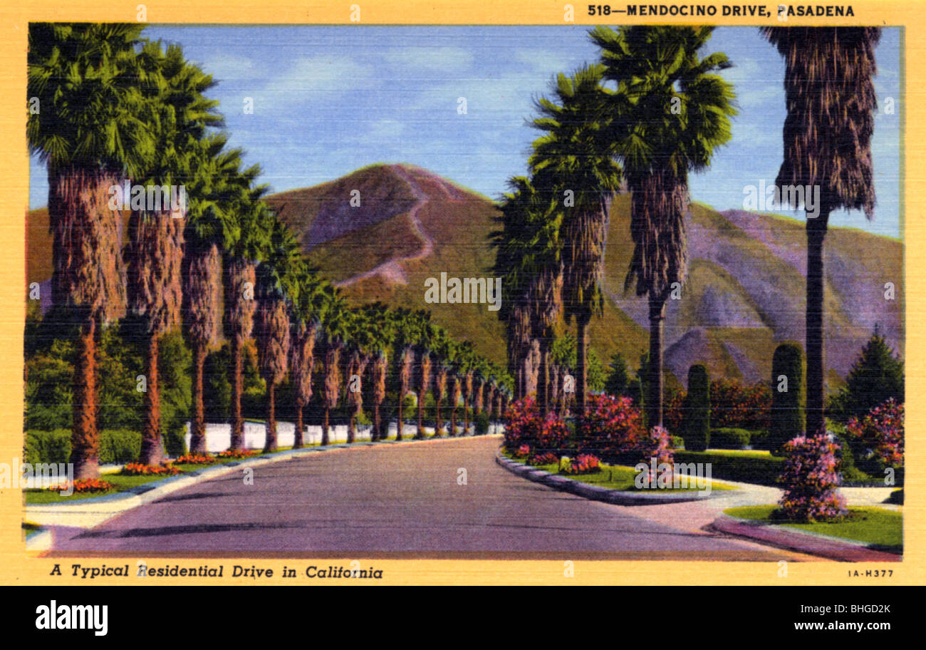 Pasadena palm trees hi-res stock photography and images - Alamy
