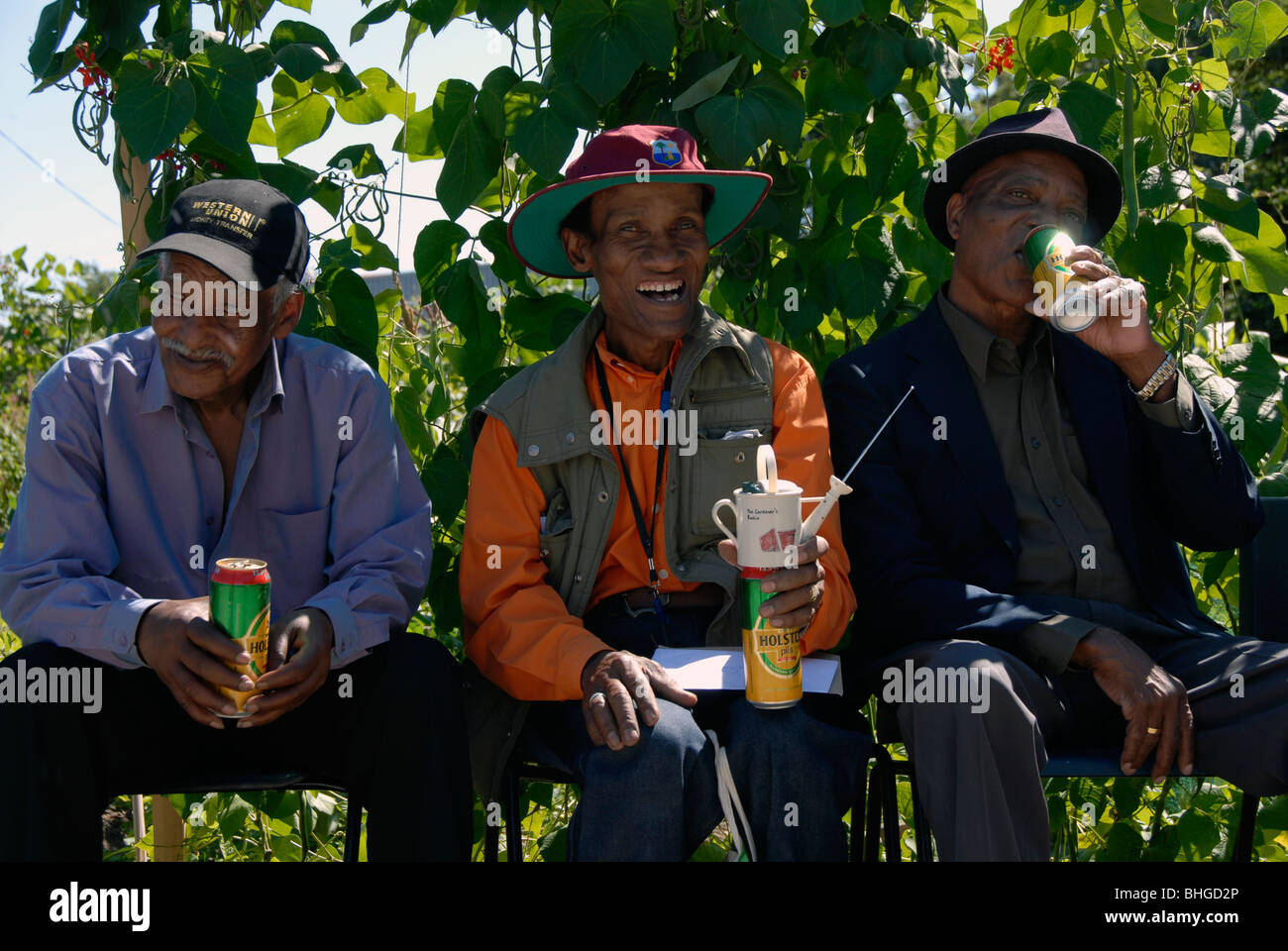 Three West Indian men Laughing and drinking at outdoors primary school ...