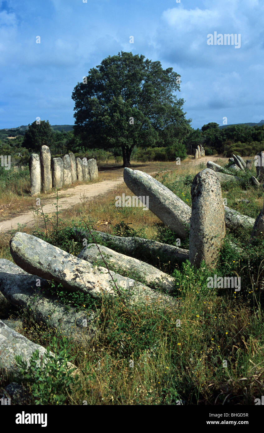 Megalithic Alignment of Prehistoric Standing Stones or Menhirs at ...