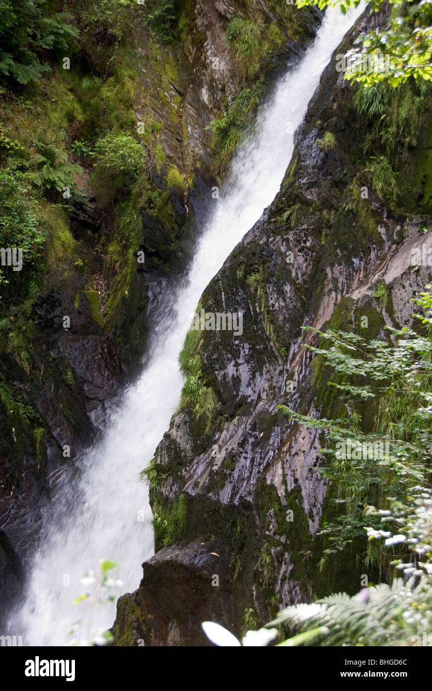 Aberystwyth devils bridge waterfalls hi-res stock photography and ...