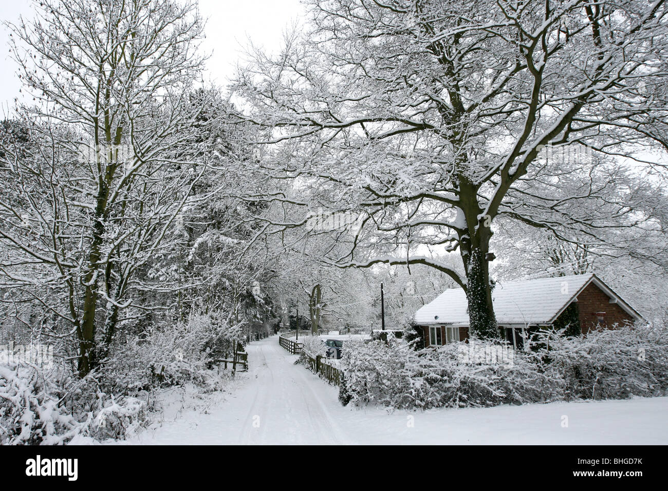 House and country lane covered in snow Stock Photo - Alamy