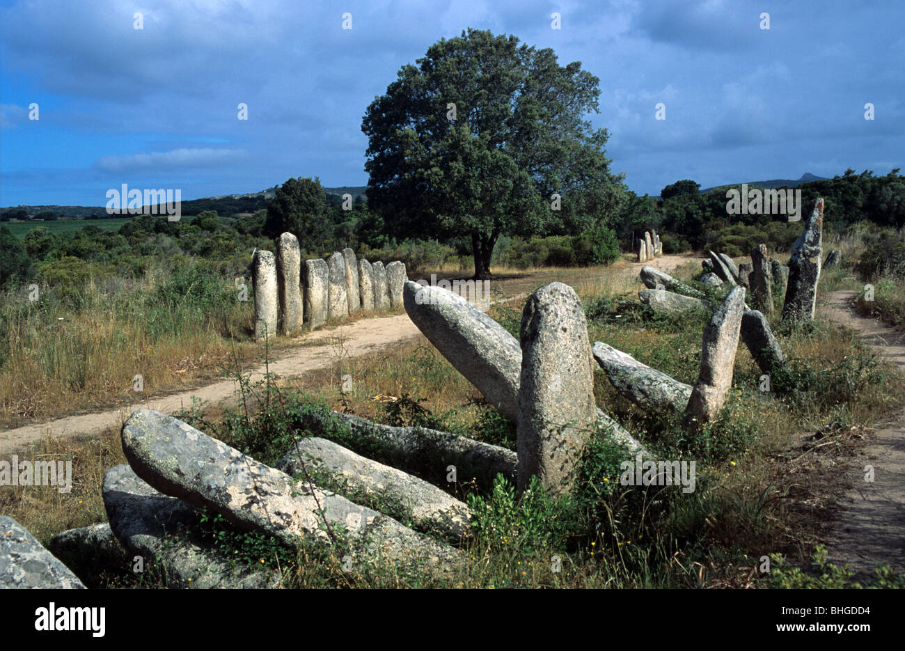 Megalithic Alignment of Prehistoric Standing Stones or Menhirs at ...