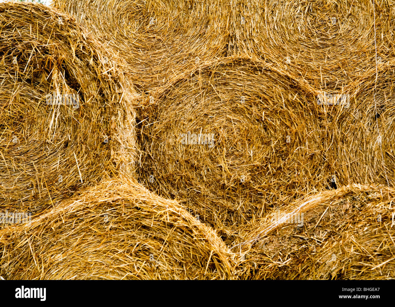 Hay bales full frame hi-res stock photography and images - Alamy
