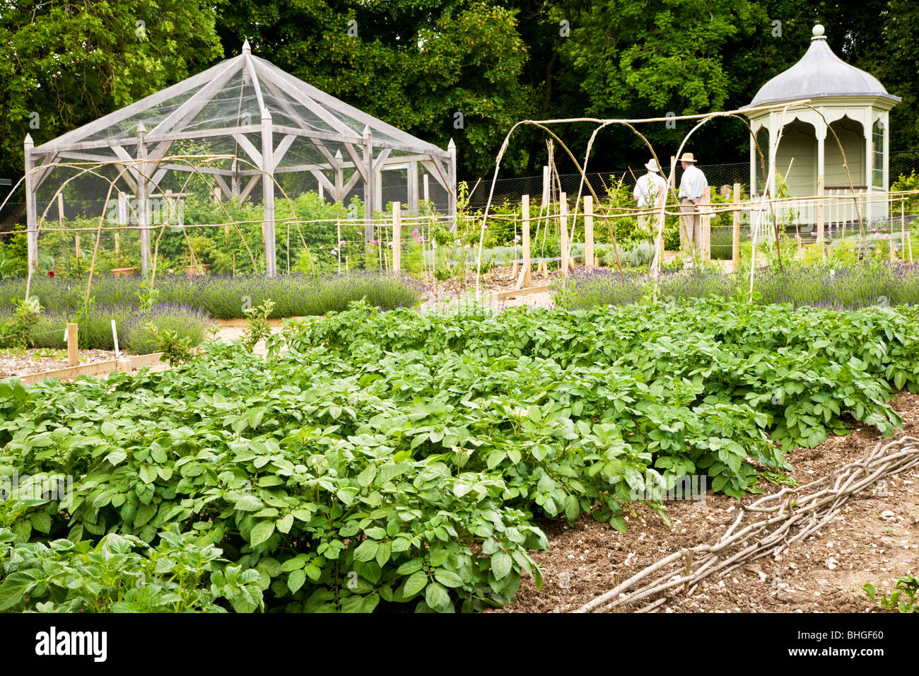 A kitchen or vegetable garden in the grounds of an English country ...