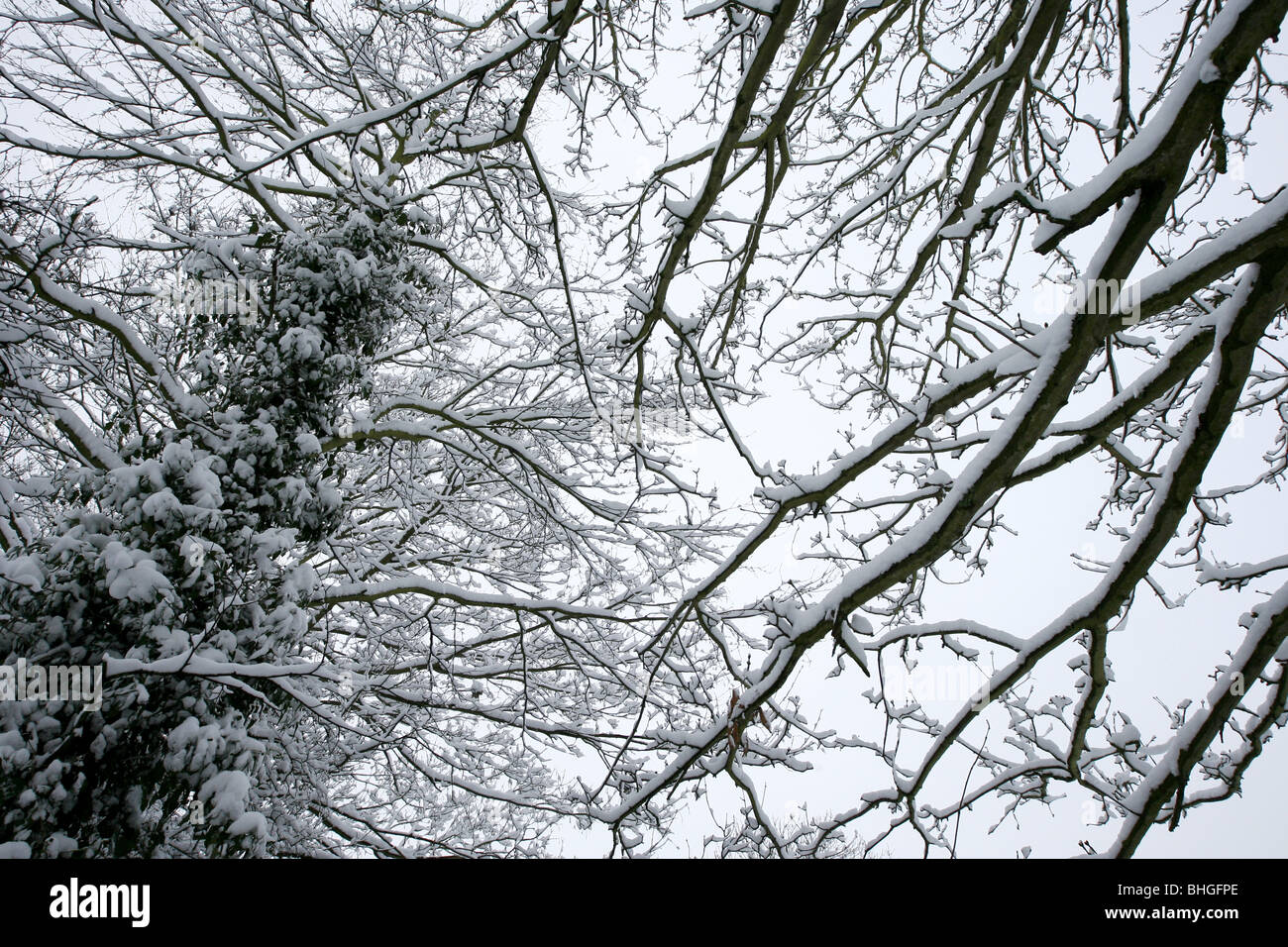 Snow overhang hi-res stock photography and images - Alamy