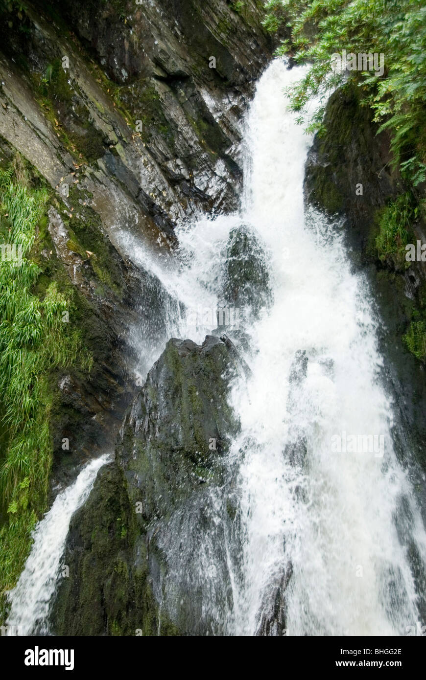 Cascading Water of Devil's Bridge Waterfalls and Trapped Fallen Tree ...