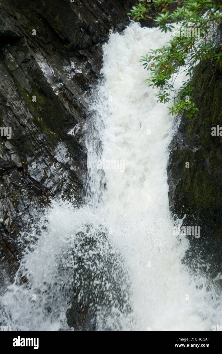 Cascading Torrent of Water Pouring over Top of Devil's Bridge Waterfall ...
