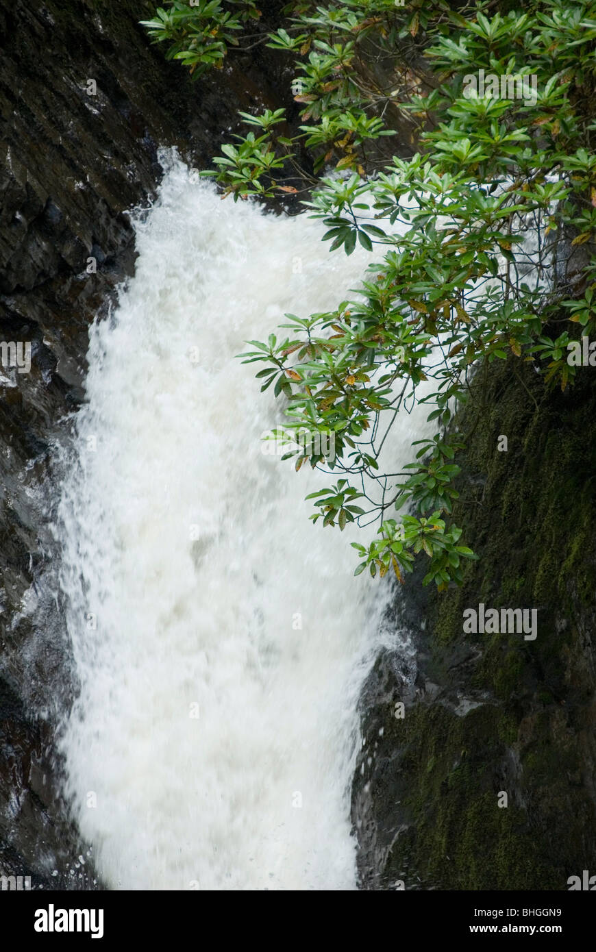Cascading Torrent of Water Pouring over Top of Devil's Bridge Waterfall ...