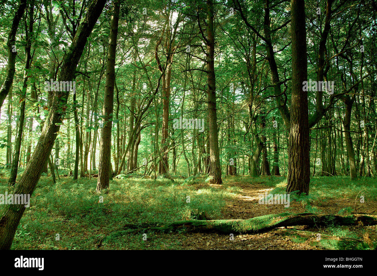 Tadley hi-res stock photography and images - Alamy