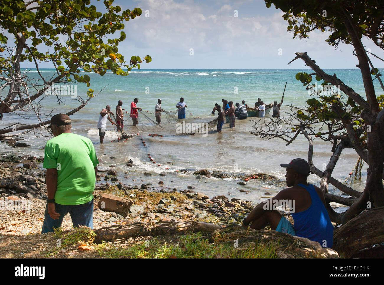 View of inshore seine net fishing off the Caribbean coast Stock Photo ...
