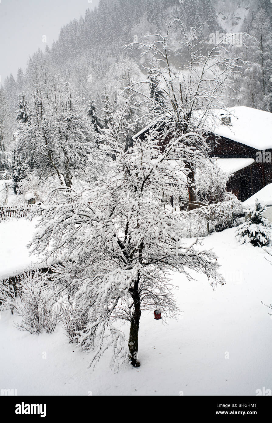 Pongau winter hi-res stock photography and images - Alamy