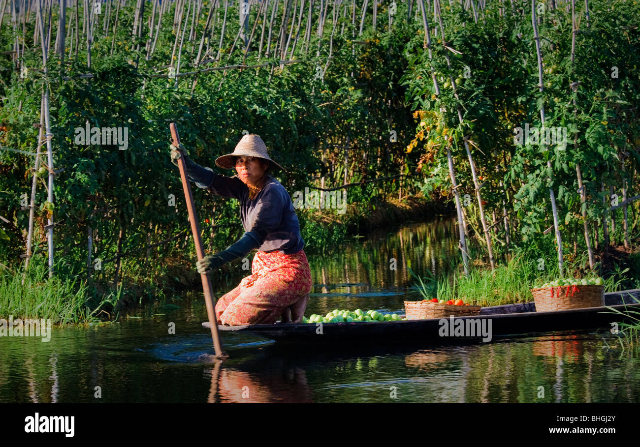 Floating plantation hi-res stock photography and images - Alamy