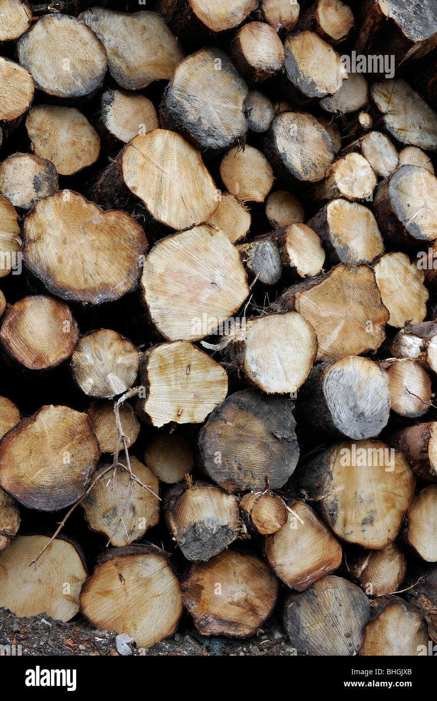 Logging in Glen Clova, Angus, Scotland, UK Stock Photo - Alamy