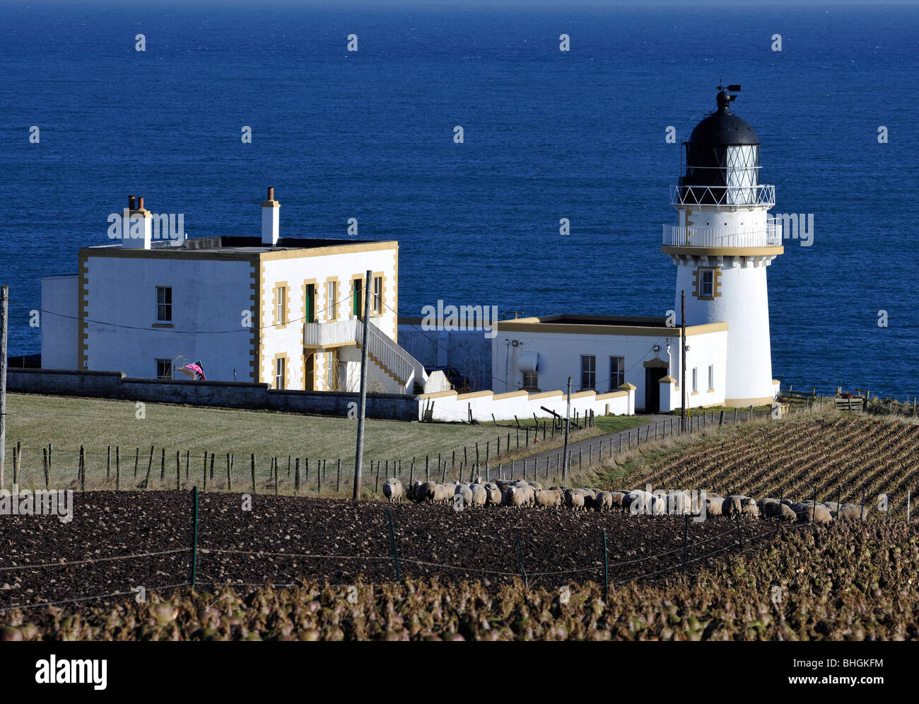 Todhead lighthouse hi-res stock photography and images - Alamy
