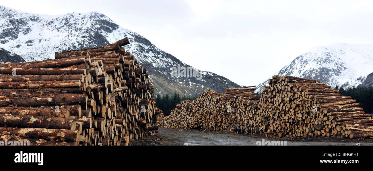 Logging in hi-res stock photography and images - Alamy