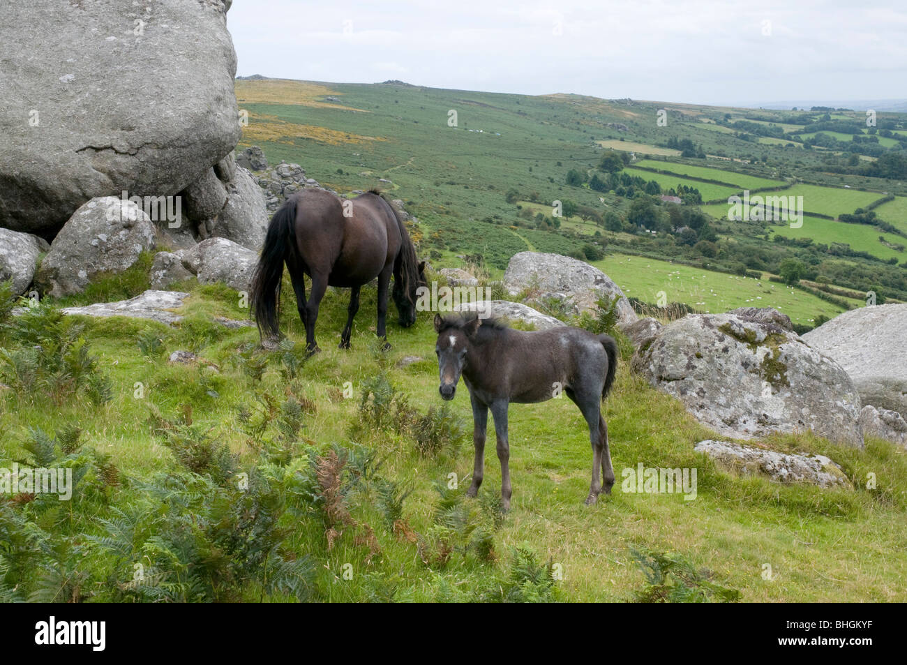 Bell tor hi-res stock photography and images - Alamy