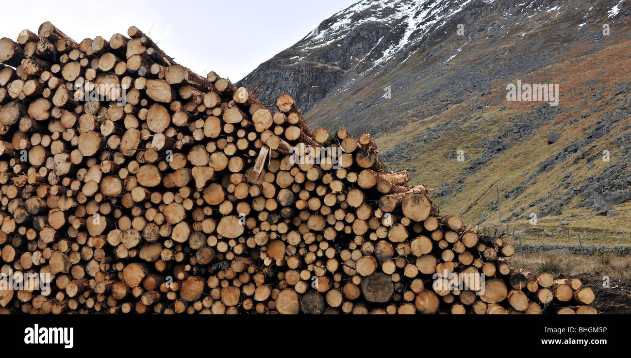 Logging in Glen Clova, Angus, Scotland, UK Stock Photo - Alamy