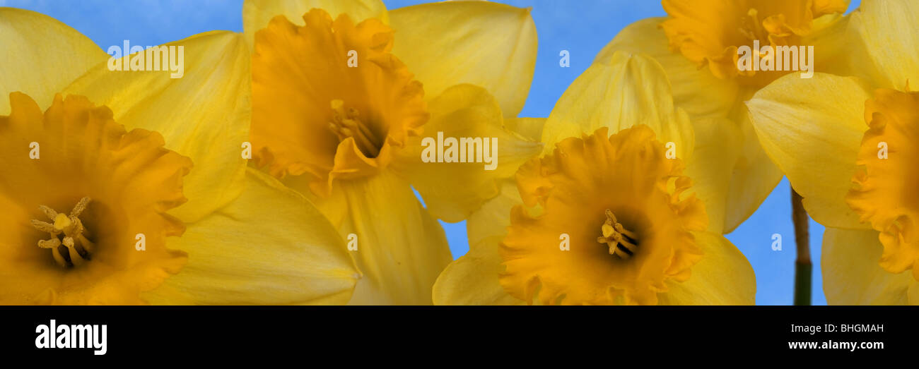 Panoramic format hi-res stock photography and images - Alamy