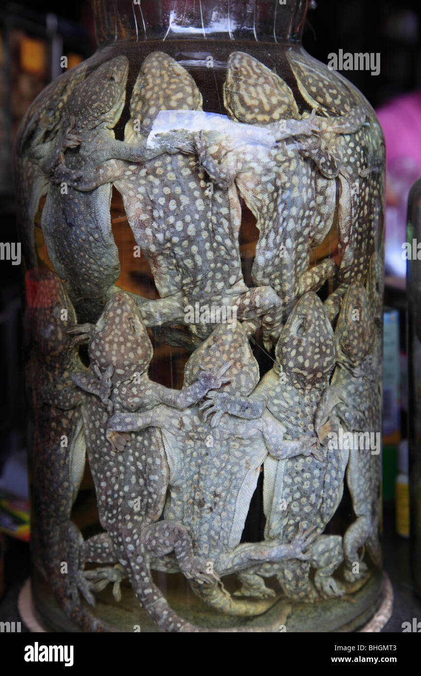 Vietnam, Hue, preserved frogs in a jar, traditional medicine Stock ...