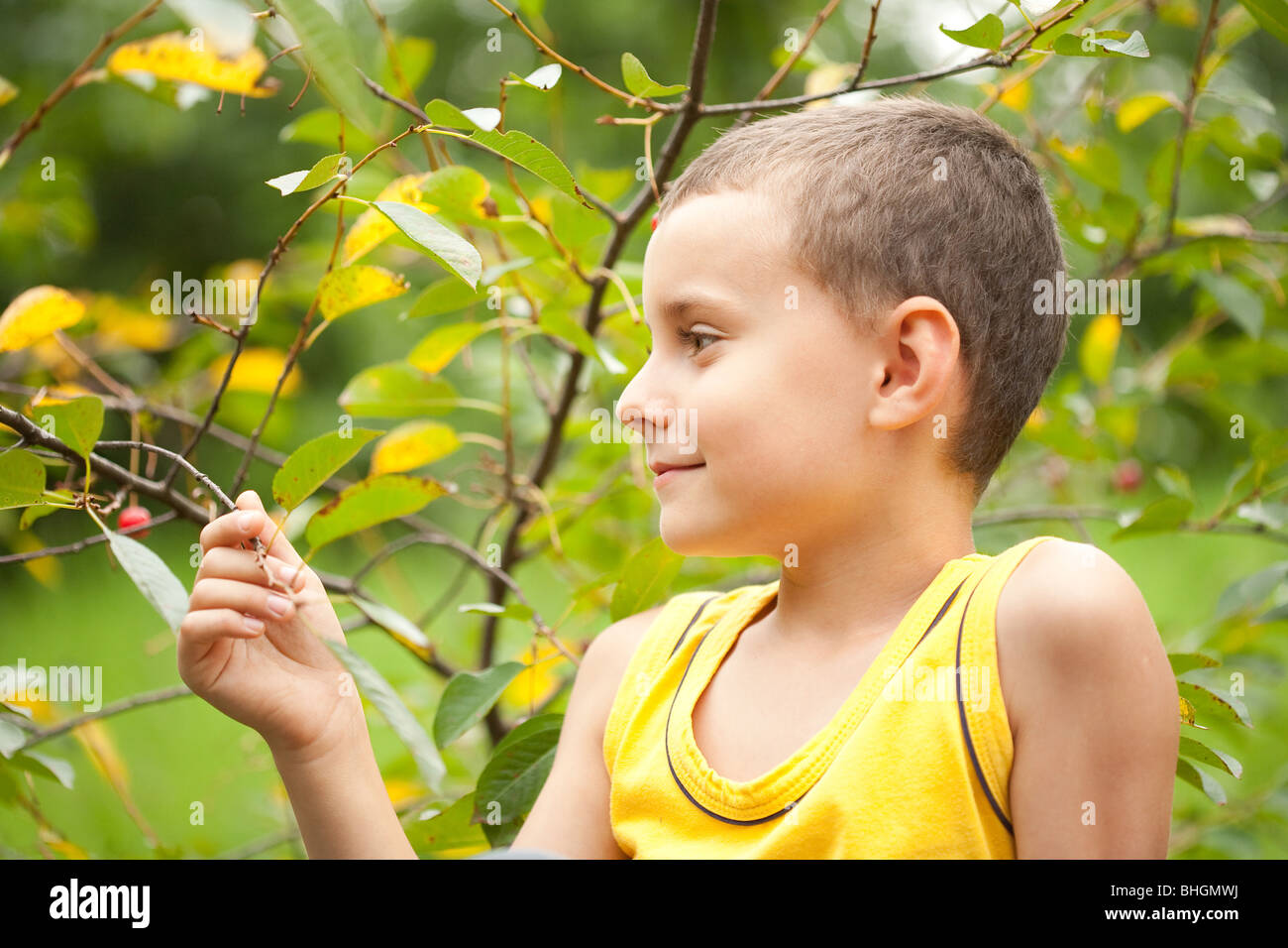 Cute kid having fun outdoor Stock Photo - Alamy