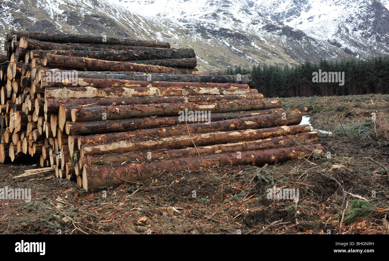 Timber woodyard scotland hi-res stock photography and images - Alamy
