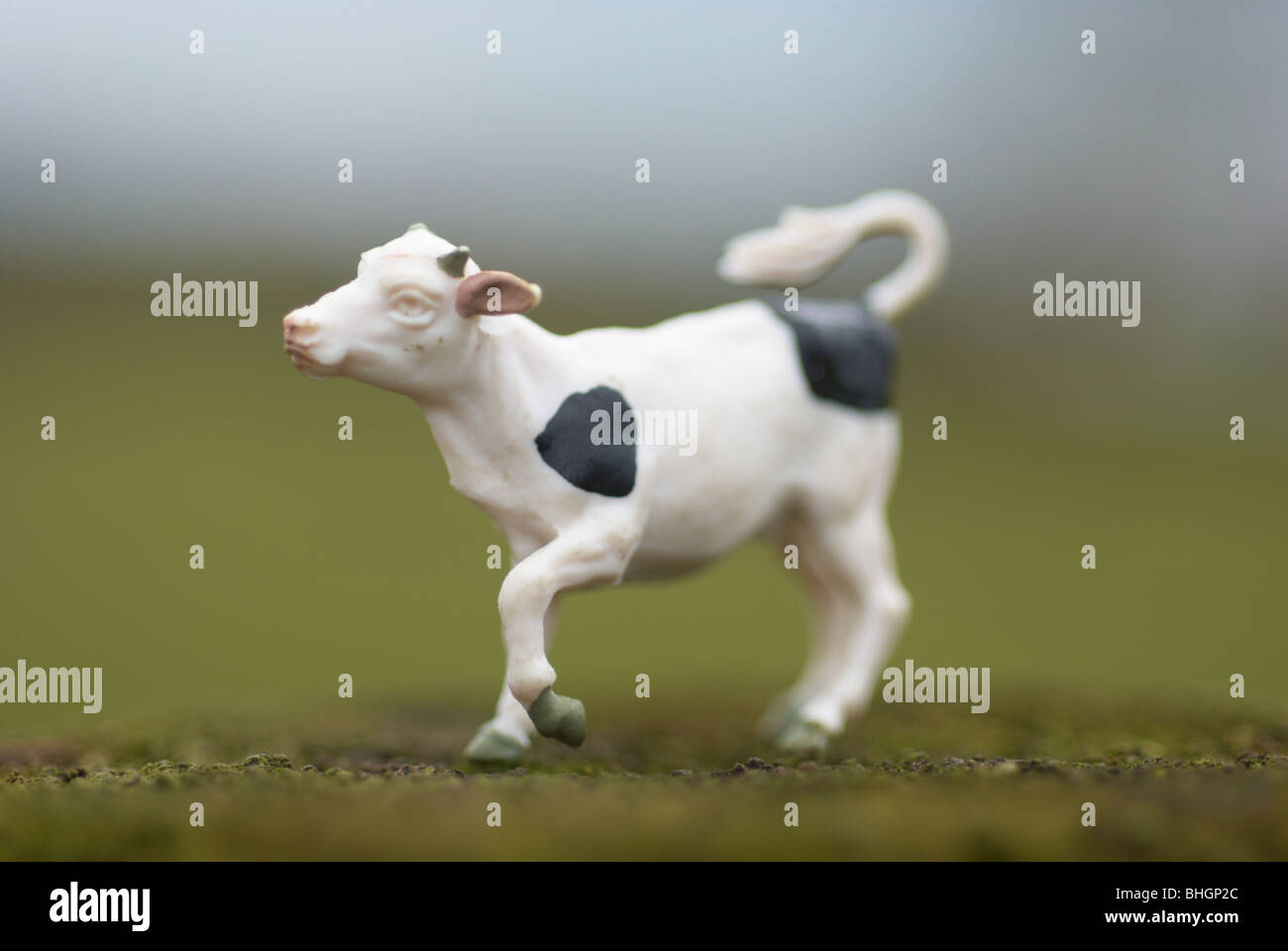 Plastic cow model photographed outside in a field Stock Photo - Alamy