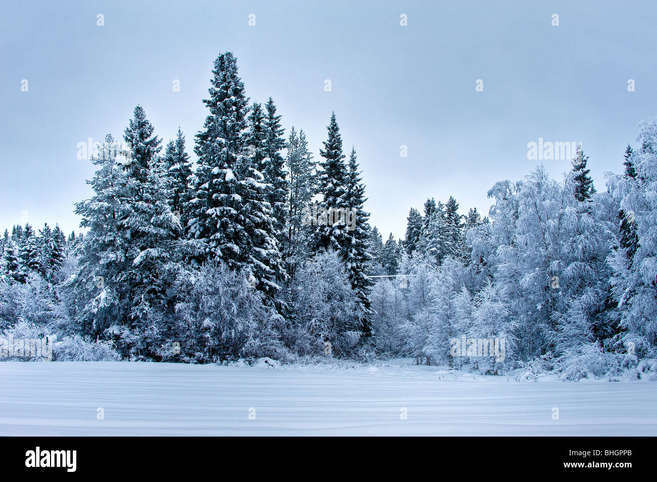 Botnia sweden hi-res stock photography and images - Alamy