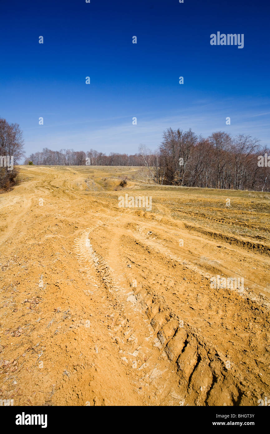 Landscape with dried muddy field and forest Stock Photo - Alamy