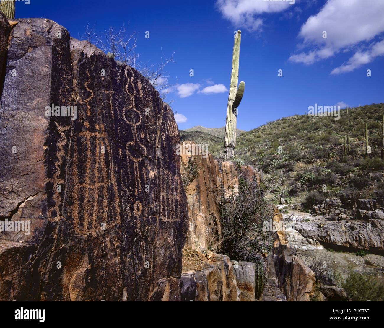 ARIZONA - Ancient Native American pictographs at Signal Hill in Saguaro ...